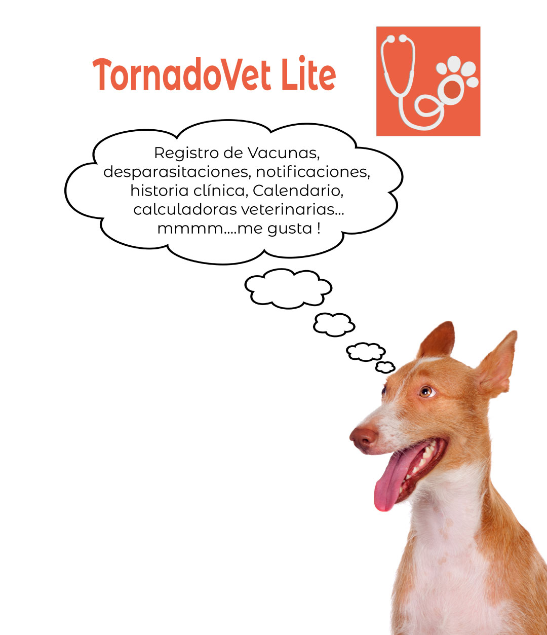 TornadoVet Lite